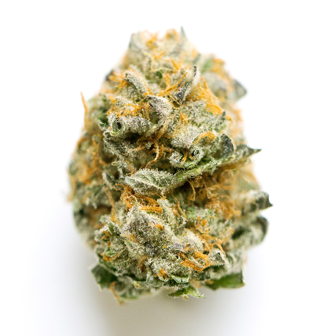 Key Lime Jack | Smalls | Sativa | 26.08% - Pure Shaka